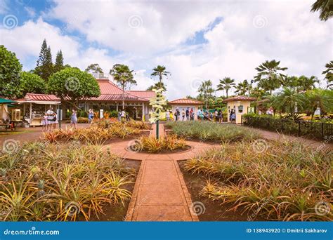 Dole Pineapple Plantation One Of The Most Famous Touristic Attractions