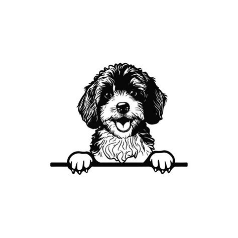 Peeking Cavapoo Svg Peeking Cavapoo Clipart Peeking Cavapo Inspire