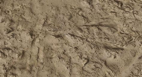 Artstation Wet Sand Pbr Texture Game Assets