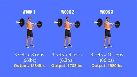 Bro Split Vs Ppl Vs Upper Lower Maximizing Muscle Growth