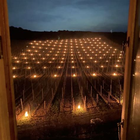 Silverhand Estate Looking Beautiful Amber Eggleton