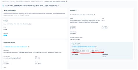 How To Programmatically Get The Output Path Of A Stream Muxing OutputDetails OutputPath