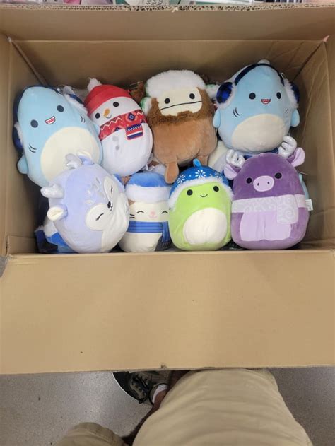 Five Below 5b Megathread R Squishmallow