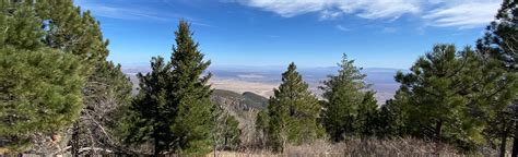 Carr Peak Via Old Sawmill Spring Trail Arizona 49 Reviews Map