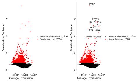Getting Started With Seurat