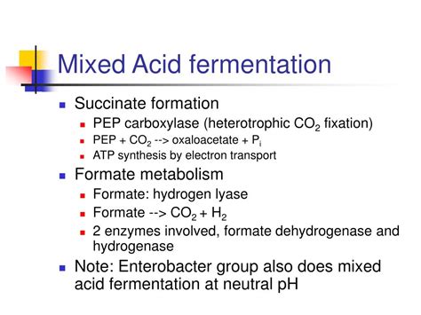 Mixed Acid Fermentation Name At Liam Dun Blog