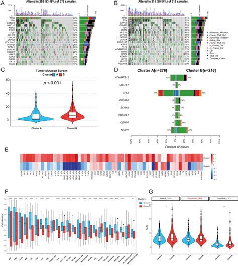 Identification And Validation Of The Mitochondrial Function Related Hub Genes By Unsupervised