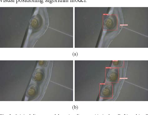 Figure 5 From Automatic Microinjection Assistance System Based On Deep Learning Visual