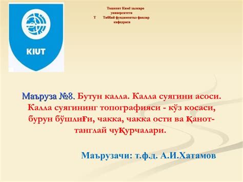 Маъруза №8 Бутн калла Ppt Калла суягини асоси Ppt