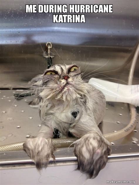 Me During Hurricane Katrina Cat Bath Returns Meme Generator