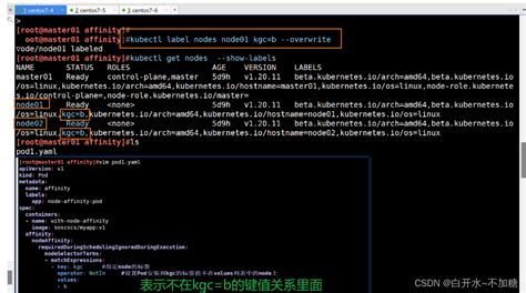 【kubernetes】关于k8s集群如何将pod调度到指定node节点 亲和与反亲和等 pod指定node csdn博客