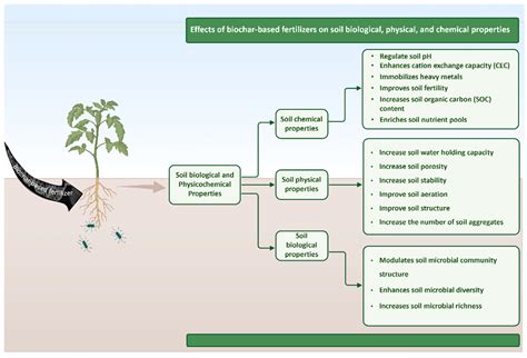 Biochar Based Fertilizers Advancements Applications And Future Directions In Sustainable