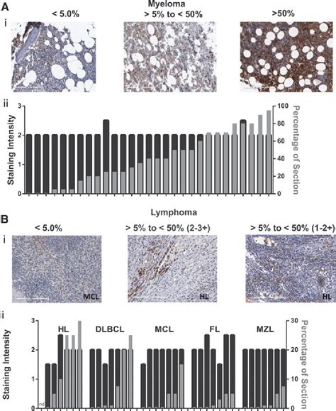 Figure 2 From Effective Targeting Of Multiple B Cell Maturation Antigen