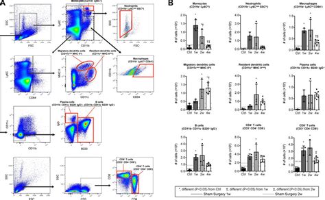 Popliteal Lymph Nodes