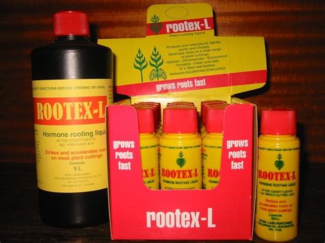 Rootex