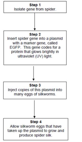 Cell Structure Exam Questions Flashcards Quizlet