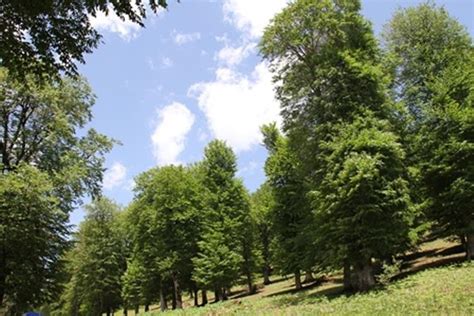 شهر پره سر عکس آدرس تلفن موقعیت جغرافیایی