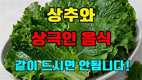 천연 강장제 상추와 상극인 음식 절대 같이 드시지 마세요 궁합이 좋은 음식 3가지와 레시피 이렇게 드시면 고혈압 암 치매 예방할 수 있습니다 Youtube