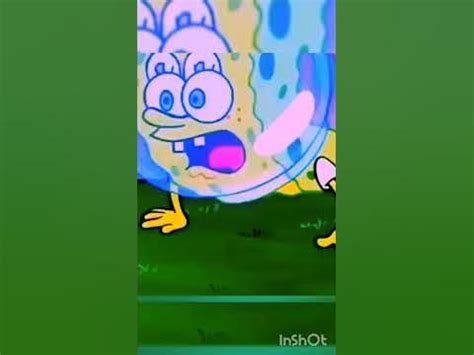 Bob Esponja Mamado Plantilla Shorts Youtube
