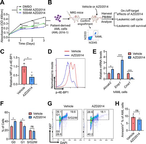 Azd2014 Induces Similar On Off Target And Cytostatic Effects In Rr