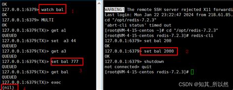 redis 事务 vs redis 管道，管道是管道，事务而非事务 redis事务与管道区别 csdn博客