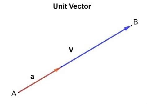 Unit Vector Explanation And Examples