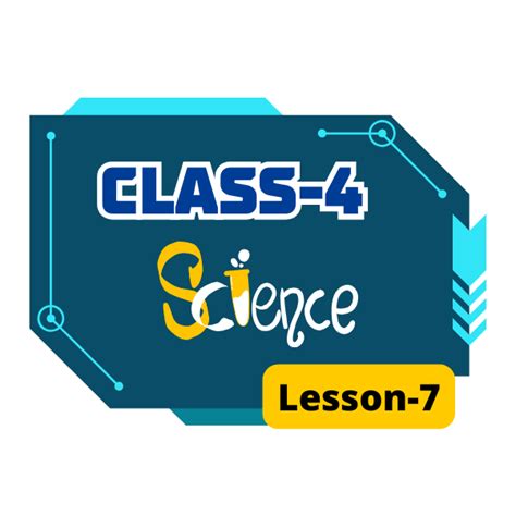 Class 4 Science Lesson 7 Your Notes Partner