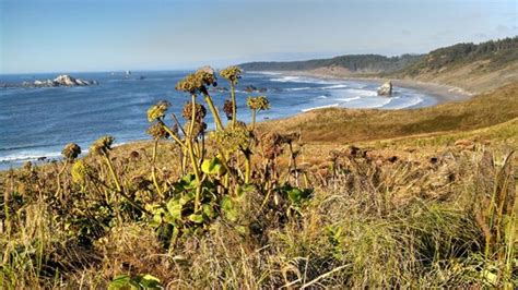 The 10 Closest Hotels To Cape Blanco State Park Port Orford