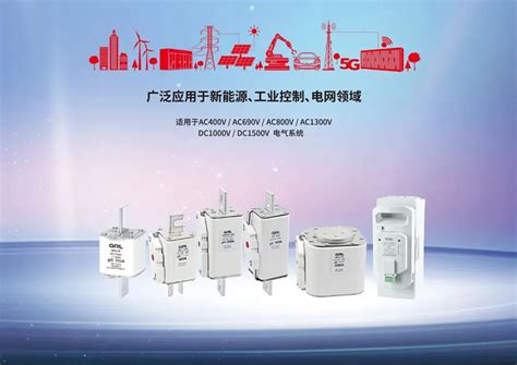 Grl Information Warmly Welcome The Leaders Of Zhejiang Fangyuan Electric Equipment Testing Co