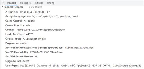 在 Aspnet Core 和 Javascript 中配置 Websocket小程序链接microsoftaspnetcorewebsockets Csdn博客