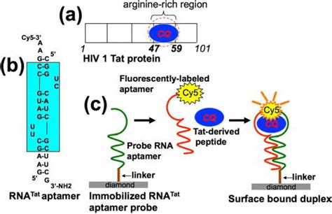 Color Online A Classification Of Hiv 1 Tat Protein With The