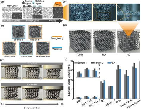 Fabrication And Experimental Tests Of Lattice Samples A Schematic Of