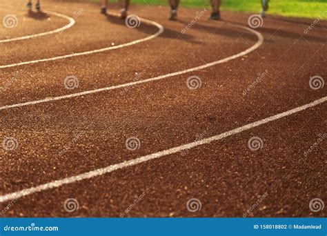 Curve White Blue Curve Running Tract With Tree Root In Sport Stadium Curve White Blue Curve Running Tract With Tree Root In Sport Stadium
