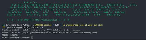 Ayon Python Api 100 Broke Upload With Api Key General Ynput Community