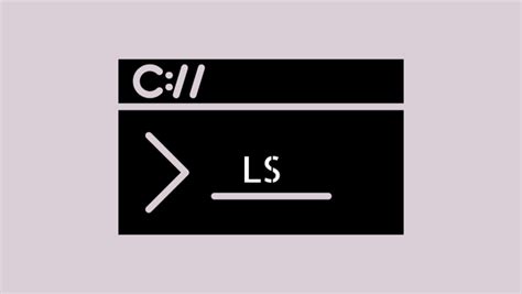 How To Use The Linux Ls Command To List Files And Directories