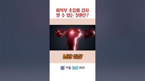 하복부초음파 검사로 알 수 있는 질환은 Youtube