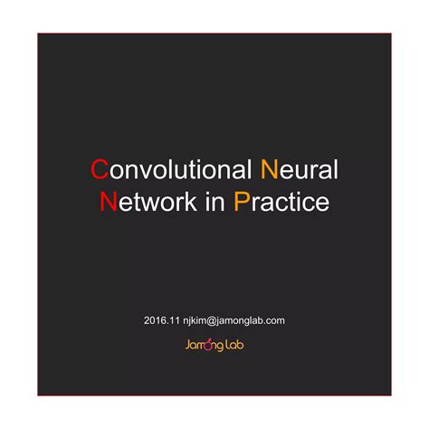 Convolutional Neural Network In Practice PDF