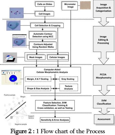 Figure 2 From An Analysis On Cervical Cancer Classification Of Medical
