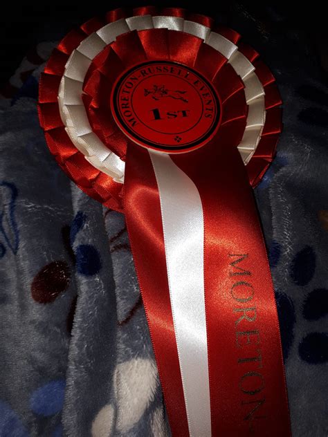 Caroline Stagg Riding Coaching And Horse Care Home