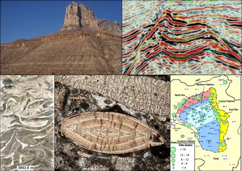 C Susan Howes Pe Phr On Linkedin Carbonate Sedimentology And Sequence Stratigraphy