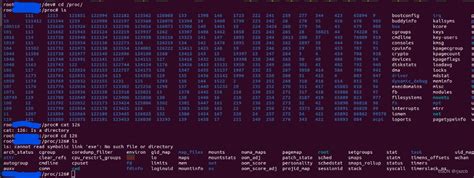 Linux Proc目录和 Sys目录（一）proc与sys Csdn博客