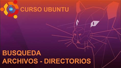 如何在linux Ubuntu上查找文件？ 数字指南