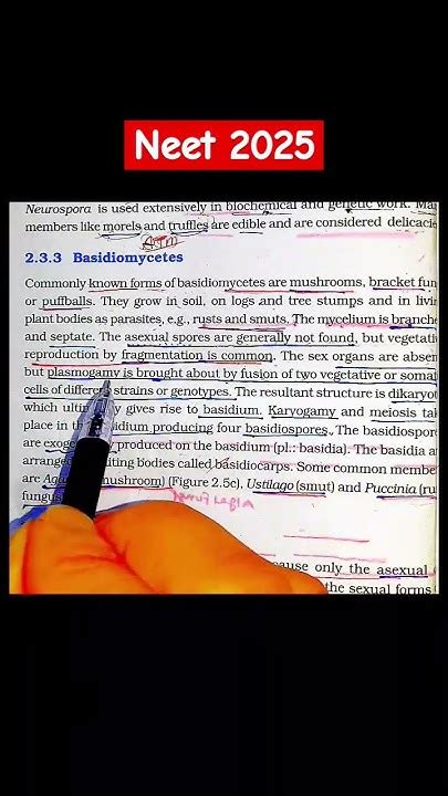 Basidiomycetes Hidden Lines Ncert Revision Neet Pyqs With Concept Neet Questions Practice