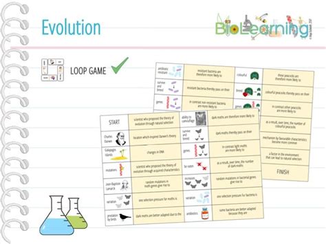 evolution loop game ks4 teaching resources