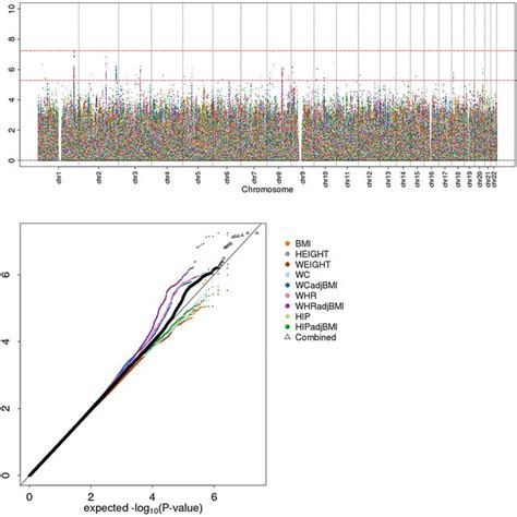 Genome Wide Sex Difference Scan Fails To Pinpoint Loci A Manhattan Download Scientific