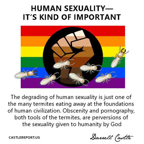 Human Sexuality Its Kind Of Important The Castle Report