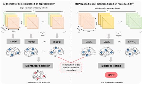 Figure 1 From Quantifying The Reproducibility Of Graph Neural Networks Using Multigraph Brain