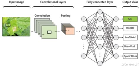 毕业设计 基于深度学习的高效农作物病虫害识别算法研究 python 目标检测 机器学习 复杂背景下农作物疾病检测算法研究 csdn博客