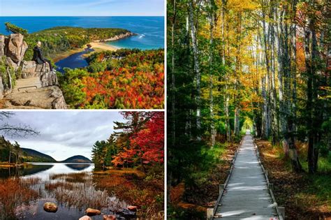 Maines First Fall Foliage Report Of 2025 Is Out Now
