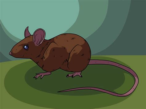 How To Draw A Mouse With Pen And Ink Vrogue Co